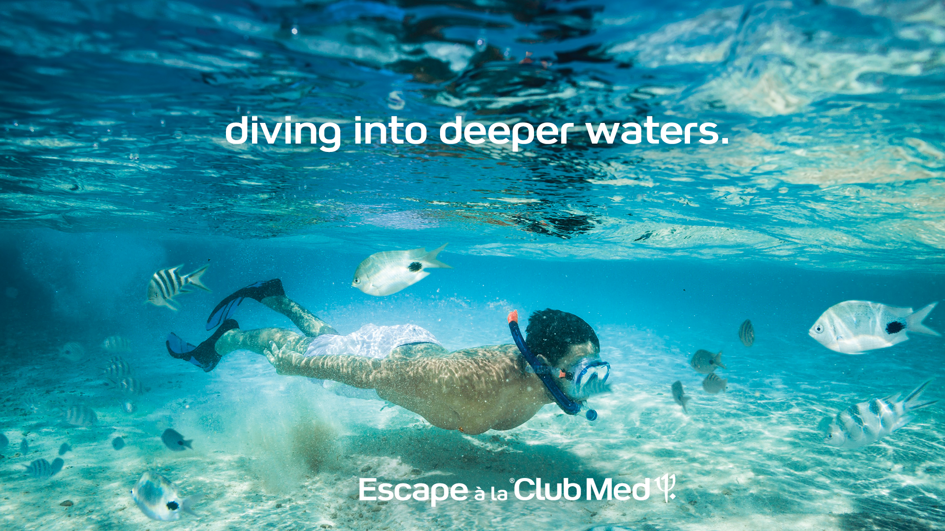 Club Med Turquoise Turks & Caicos, Caribbean 2019Alpine Adventures ...