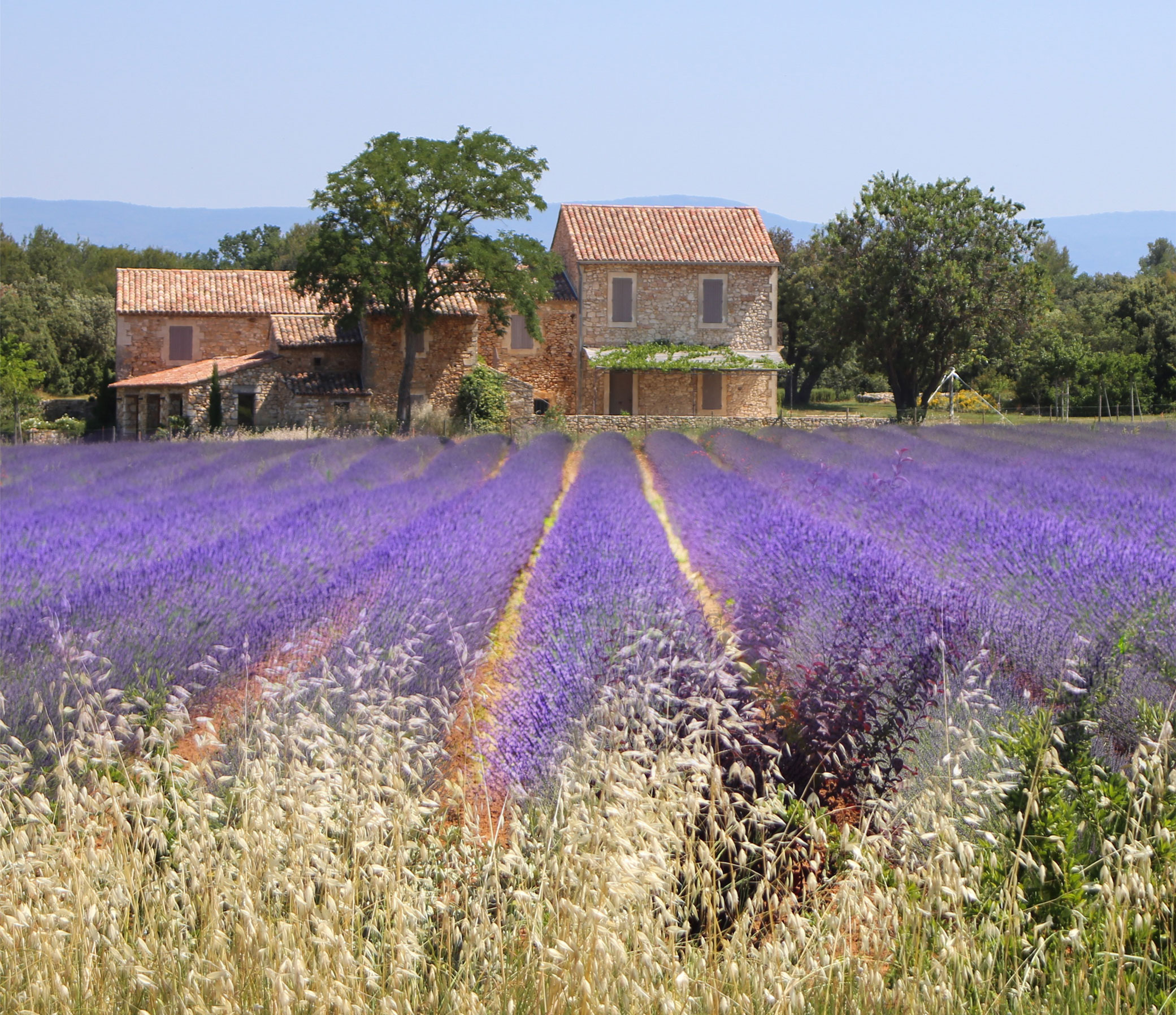Paris, Lyon, Provence, French Riviera: 2025 | Anywhere AdventuresAlpine ...