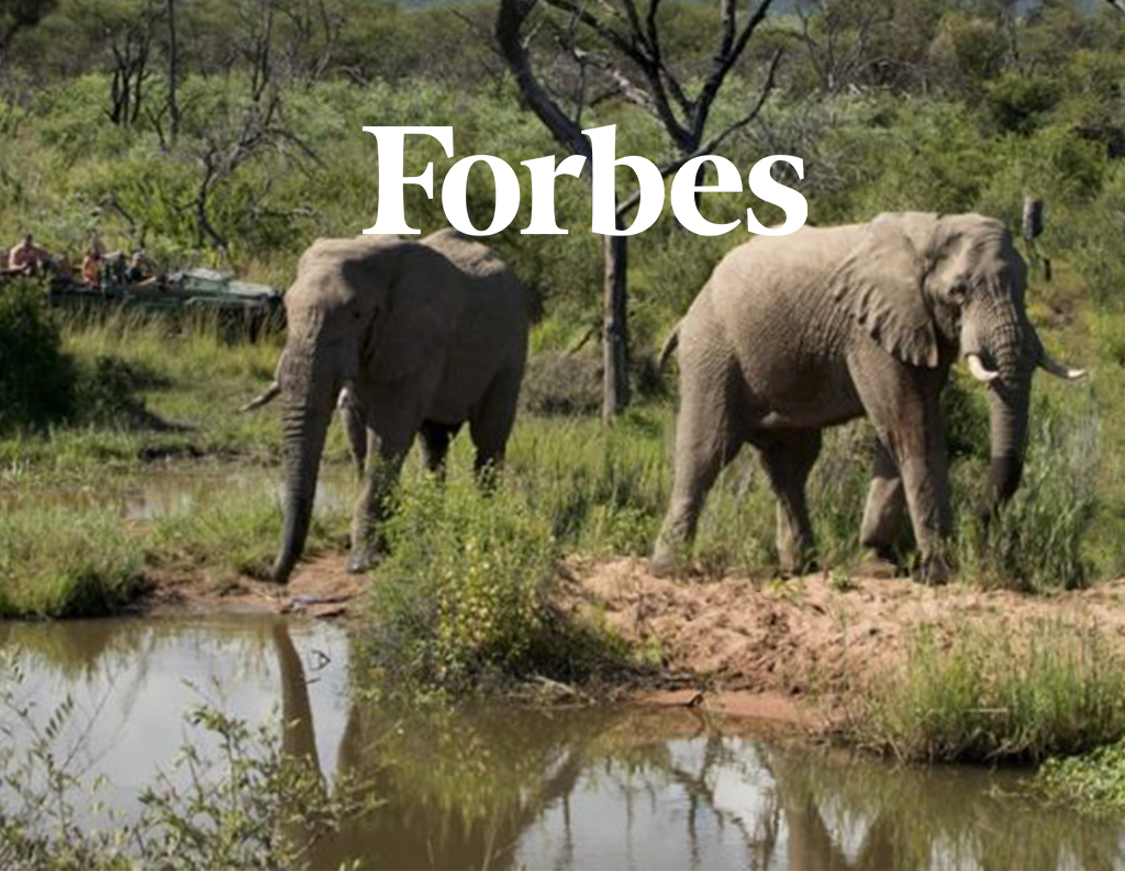 Adventures Africa in Forbes: 2024 Bucket List TripsAlpine Adventures ...